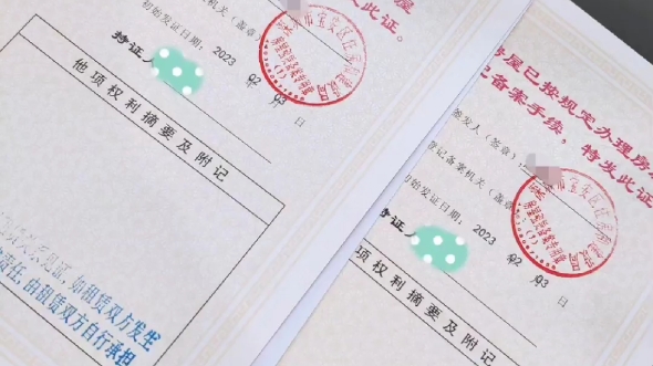 ...入学才有得选公立学校#深圳积分入学 #积分入学 #深圳入学租赁合同