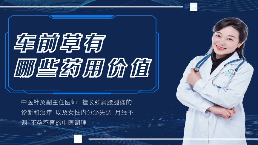 车前草有哪些药用价值?中医坦言:这4个功效,用过的都赞不绝口