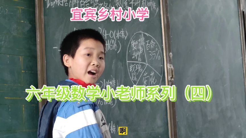 宜宾乡村小学六年级数学小老师系列(四)扇形统计图