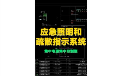 集中型应急照明和疏散指示系统