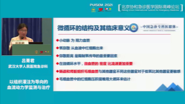 组织灌注为导向的血流动力学监测