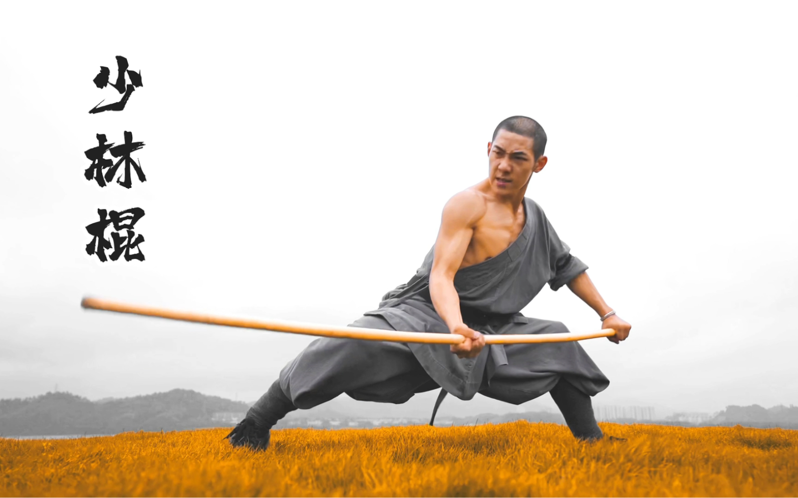 中国传统武术 十八般兵器