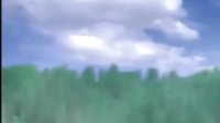 保护森林宣传片