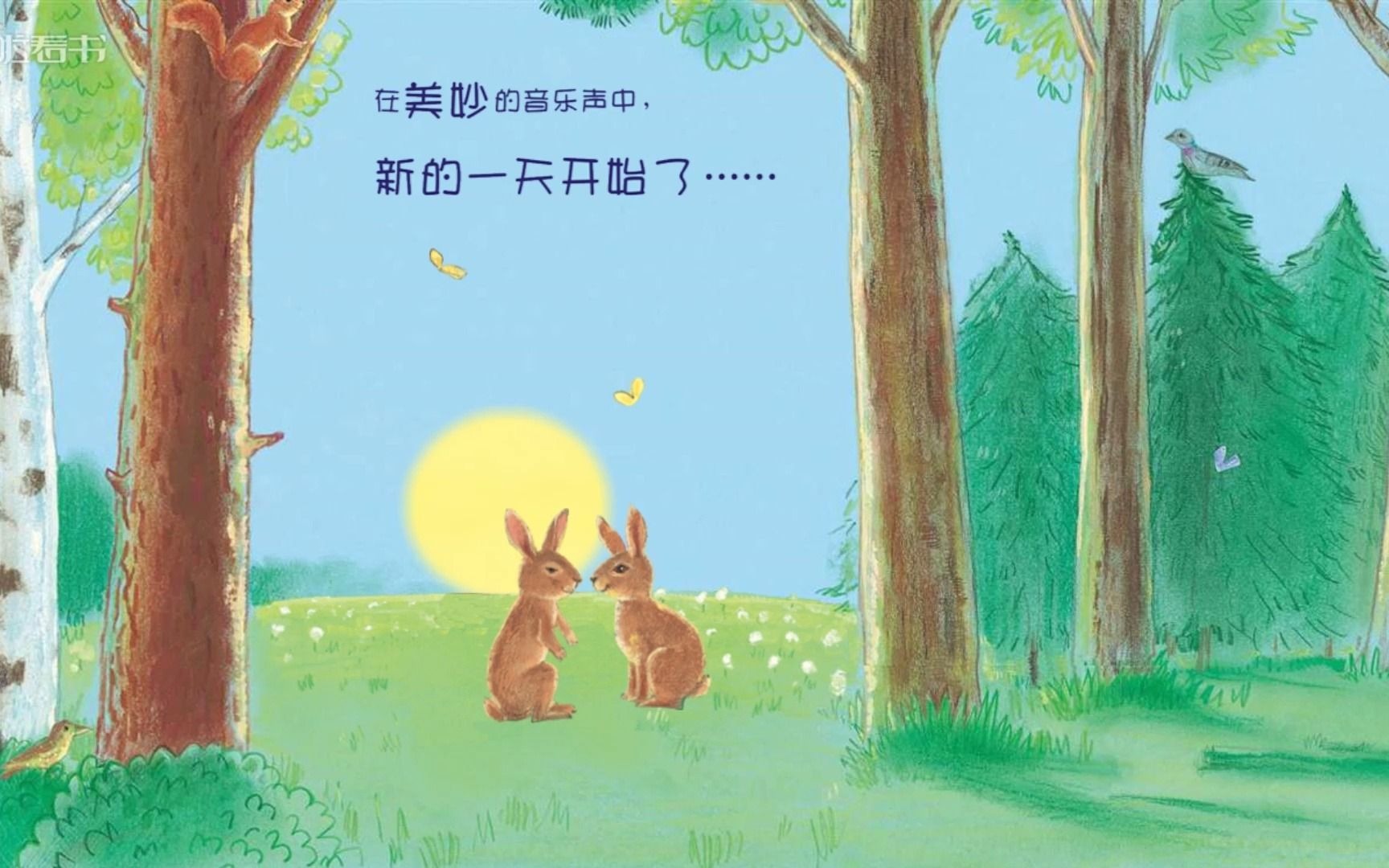 暖绘本:森林大交响乐