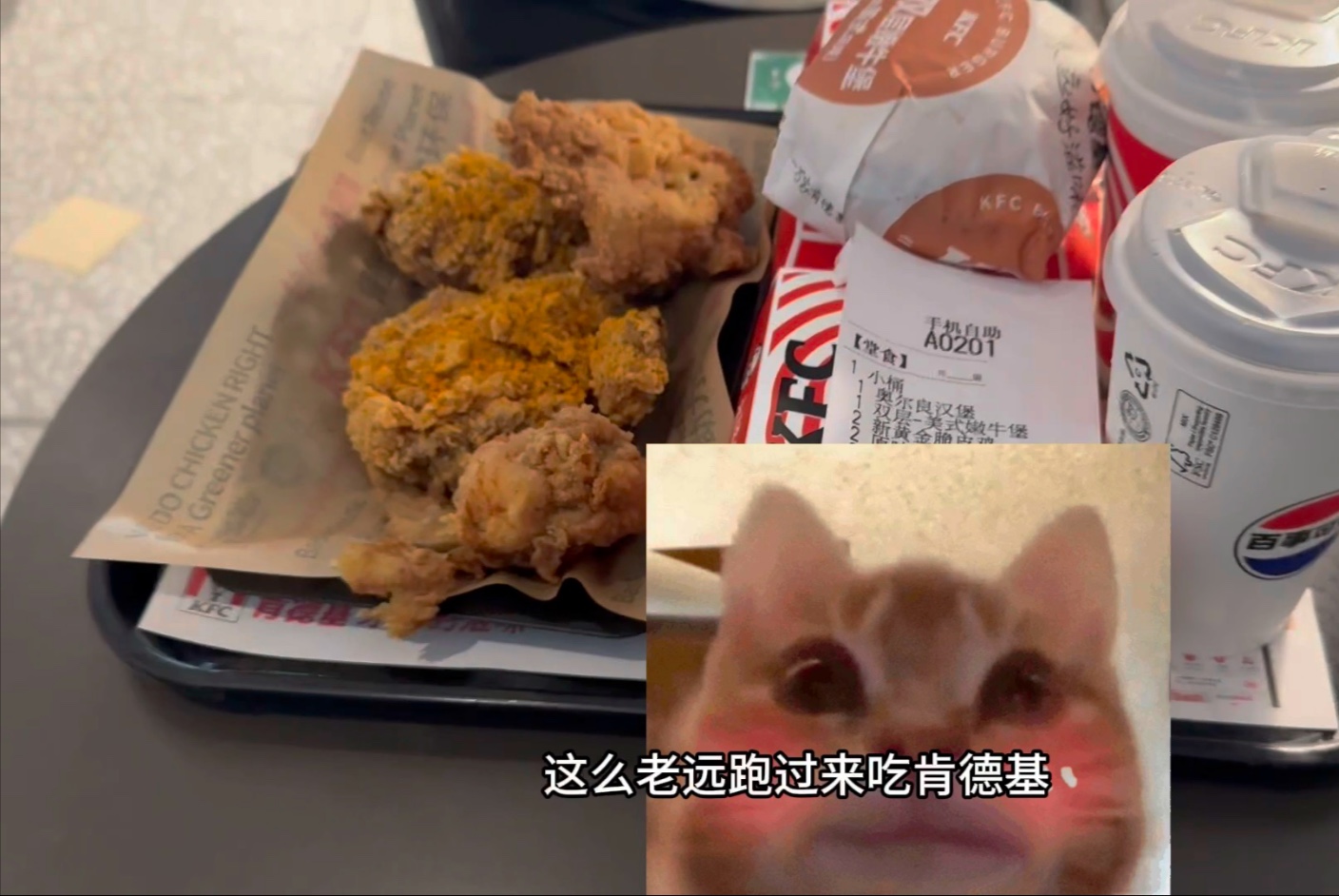 P先生坐火车来找我玩,然后茉莉花茶被顺走了,又饿又渴