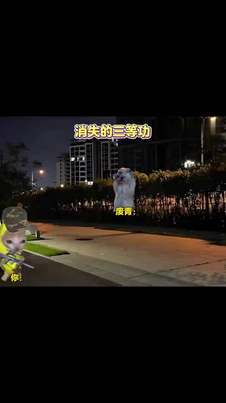 消失的三等功哈哈哈