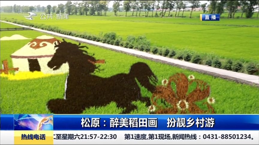 不同颜色水稻“绘制”而成“五彩稻田画”,扮靓乡村游