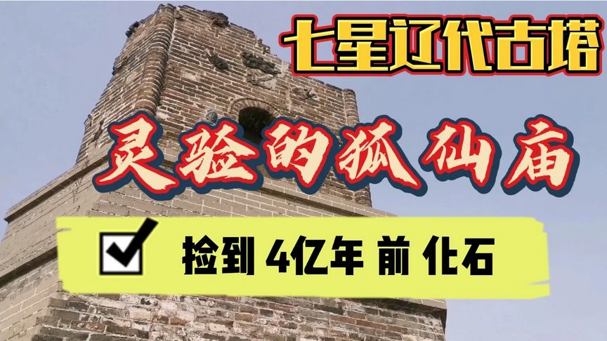 山上是七星辽代古塔,山腰是灵验的狐仙庙,山下捡到4亿年前宝～