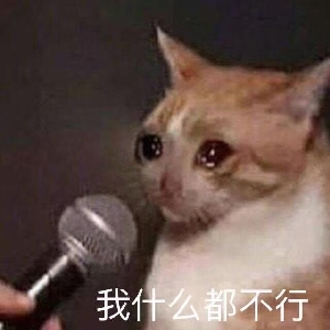 励志学习的人 