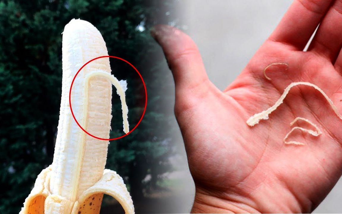 【科普】香蕉里面的“白丝”究竟是什么?