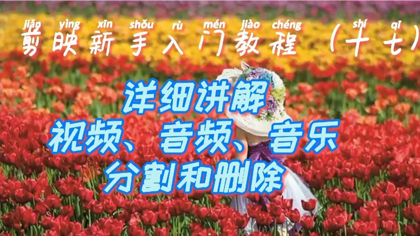 剪映新手入门教程 详细讲解视频、音频、音乐的分割和删除
