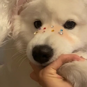 A关于他的故事 