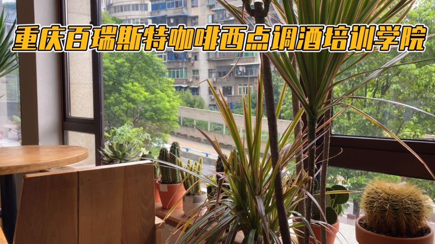 重庆零基础咖啡专业课程的学习环境和学习氛围,技术理论实际操作