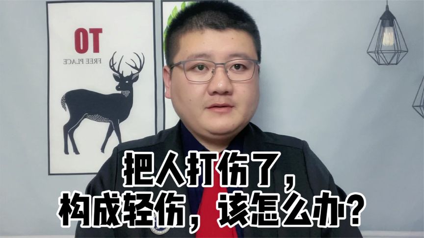 把人打伤了，构成轻伤，应该怎么办？