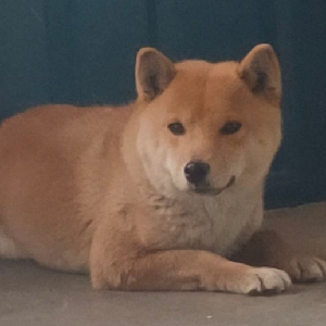 不好意思看错啦 