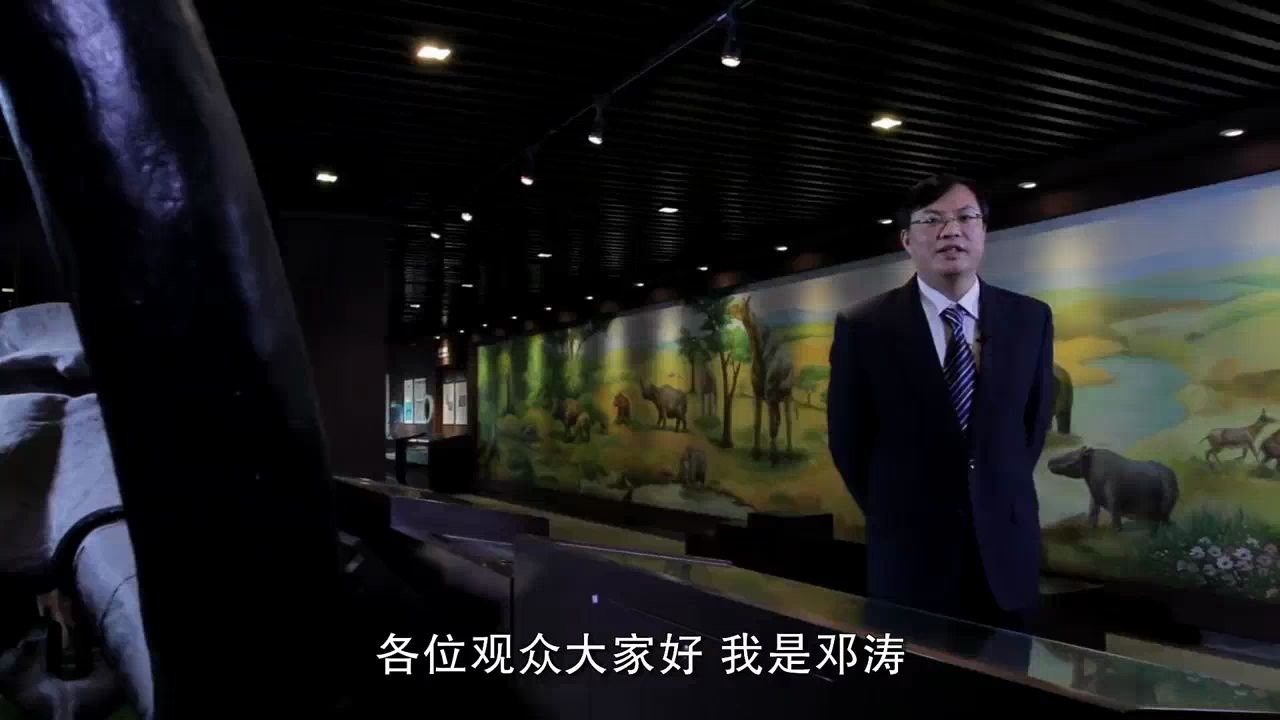 科学公开课:新生代哺乳动物的演化历史
