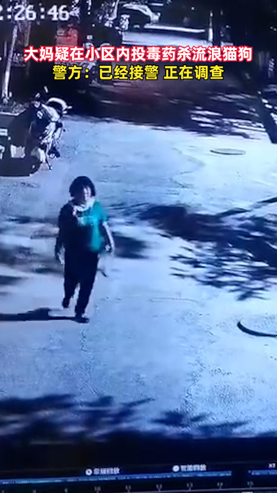 大妈疑在小区内投毒药杀流浪猫狗,警方:已经接警,正在调查