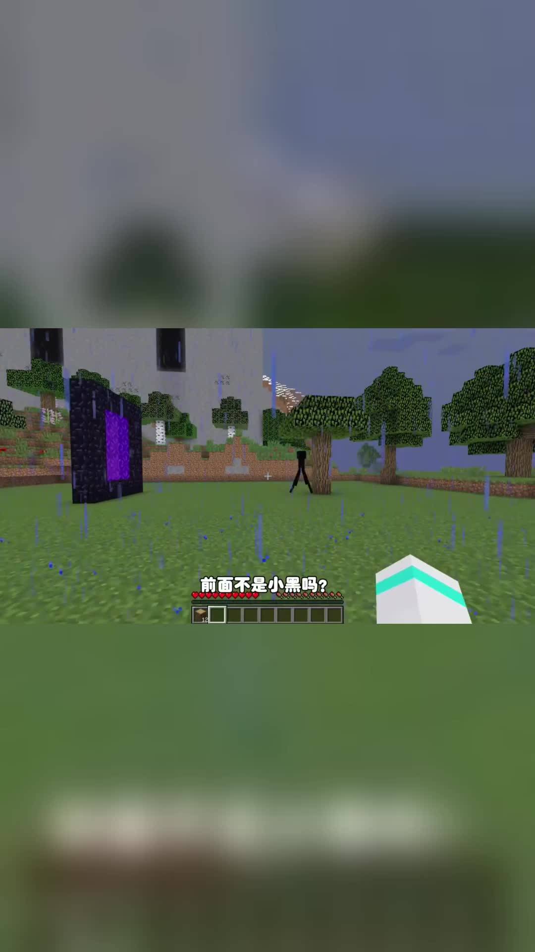 我的世界:拯救了一群好朋友