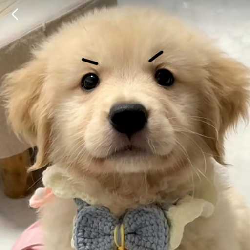 zz坐牢中 
