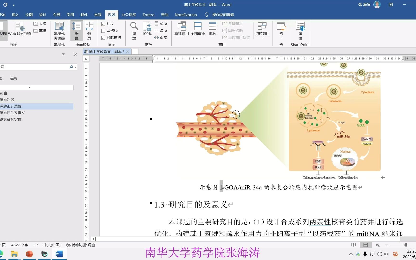 word排版9-域的操作