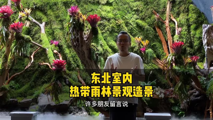 东北室内热带雨林景观造景,冬天也一样可以春意盎然#热带雨林