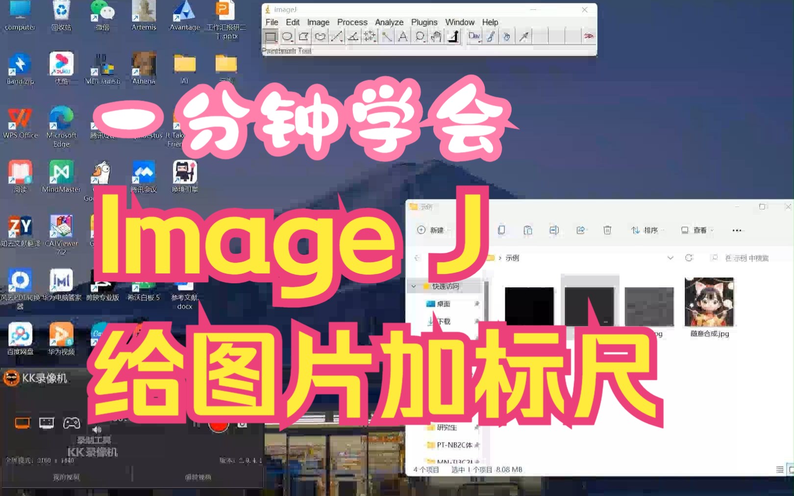 一分钟学会 | 用imageJ给图片加标尺(自用记录)