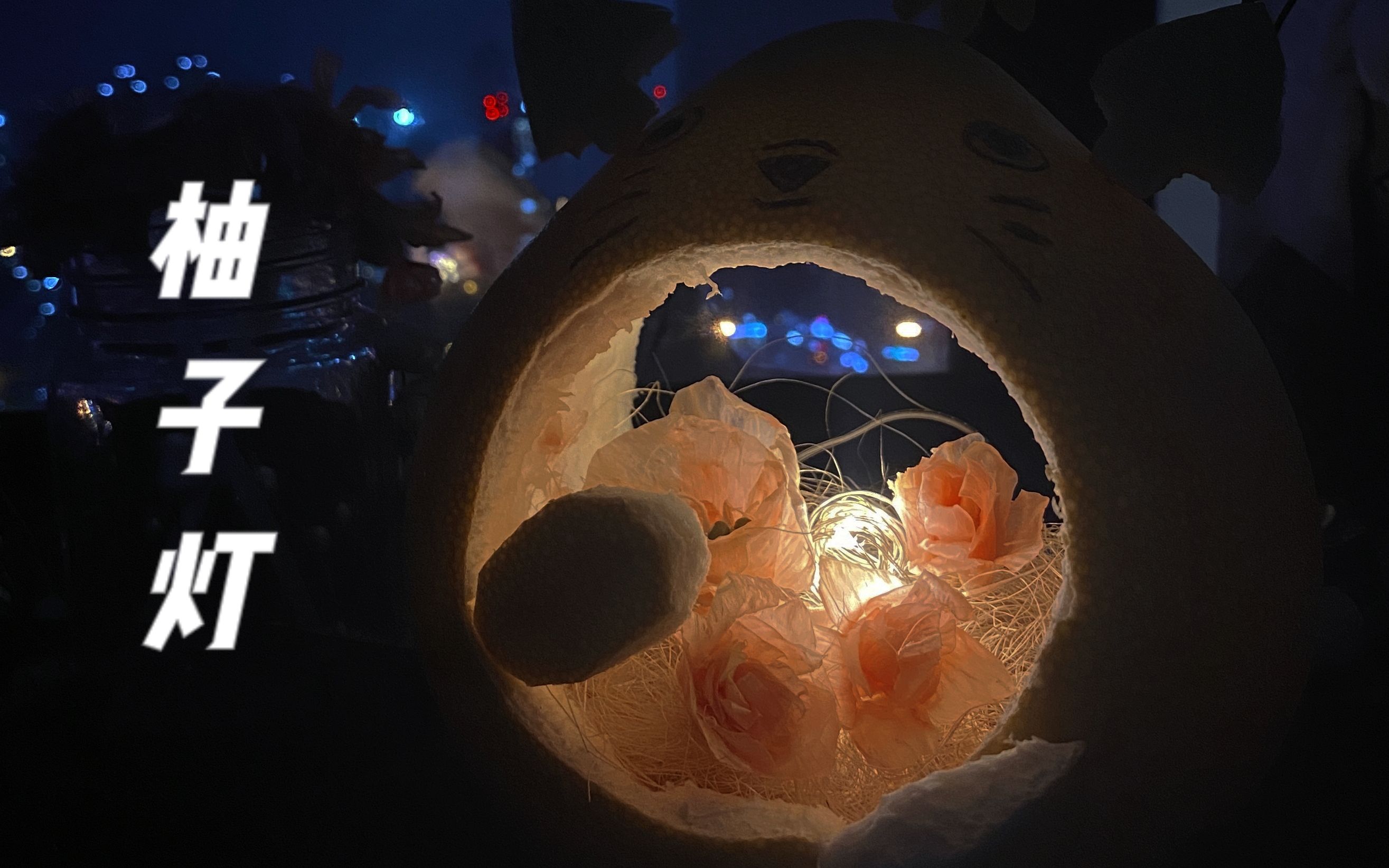 柚子花的应用 | 柚子花还能干什么呢?做个柚子灯吧!保姆级教程