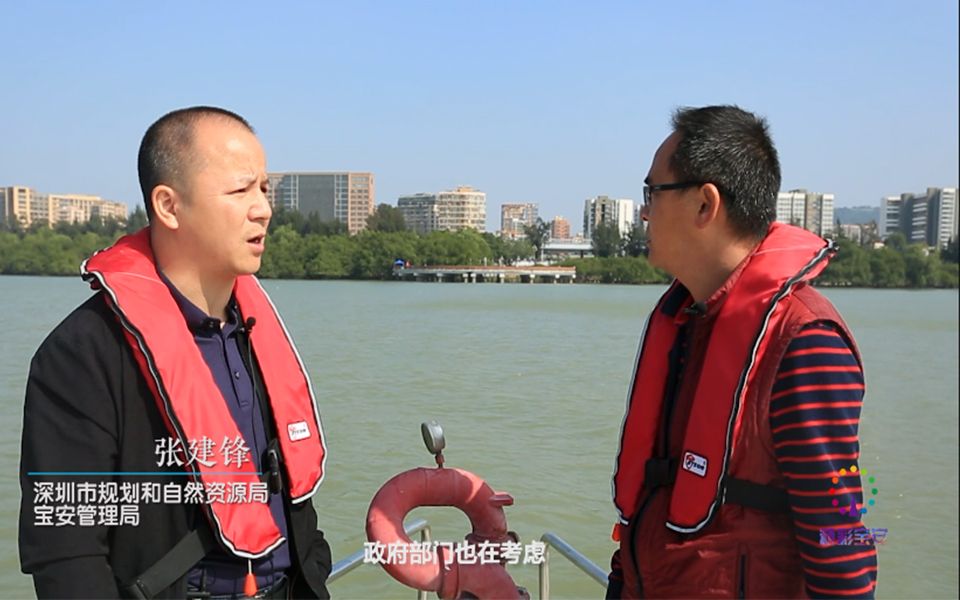 【精彩宝安】 西湾红树林海岸线