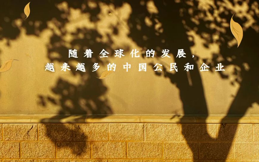 加拿大公司银行资信证明海牙认证Apostille附加证明书流程时间解析