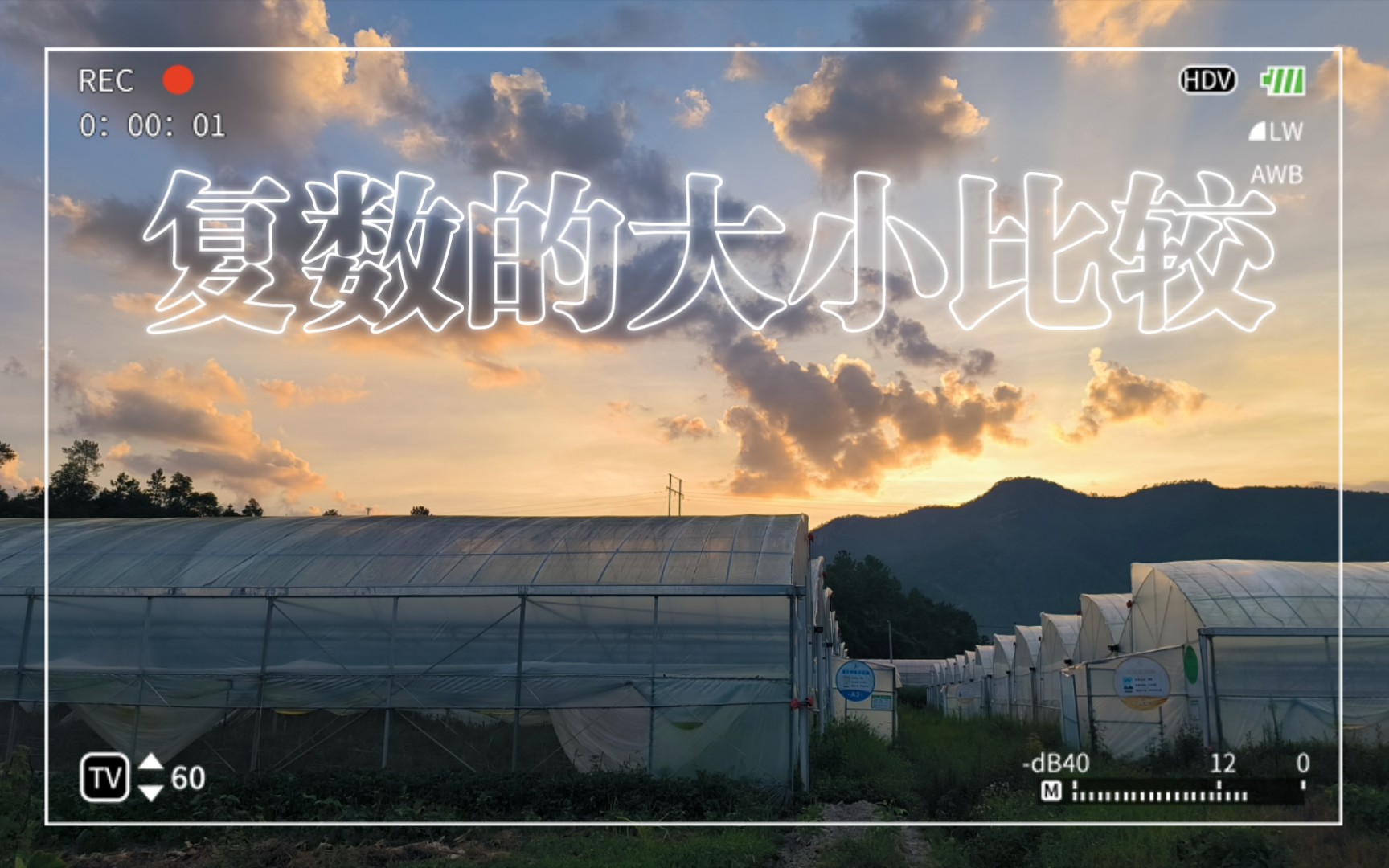 新高中数学6 复数——复数的大小比较