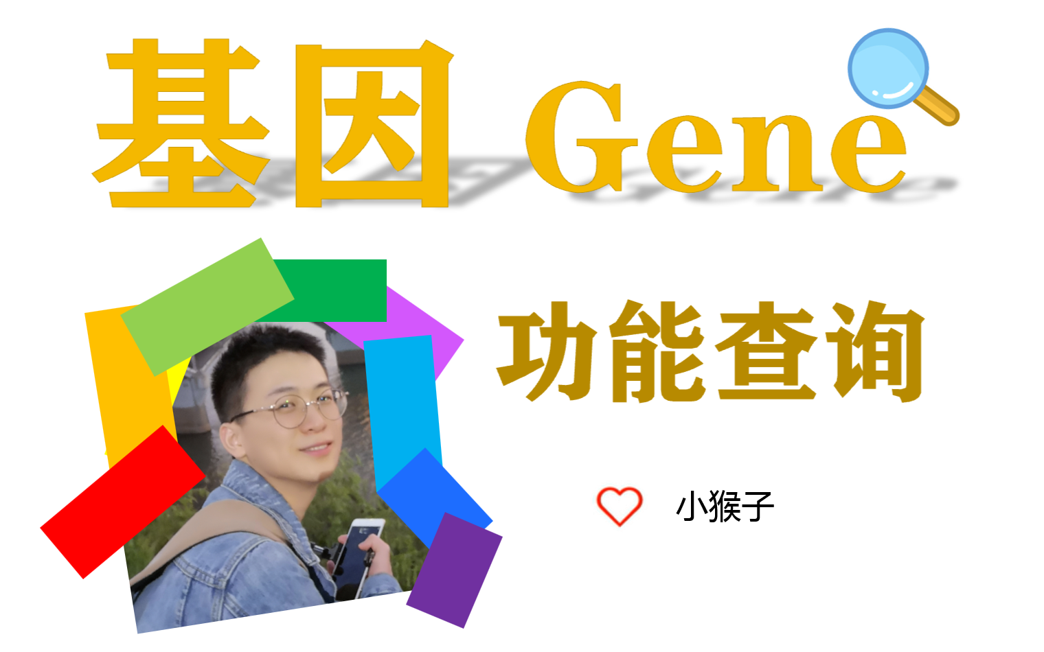 【生信分析-9】如何高效查询基因的功能Genecard