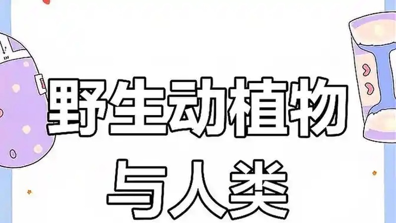 保护野生动物,守护地球生态平衡
