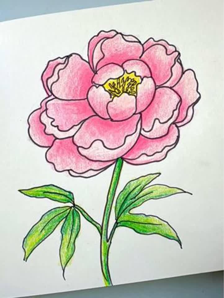 会画芍药了,牡丹花也就差不多会了 #简笔画 #简易花草画法 #彩铅手绘 .