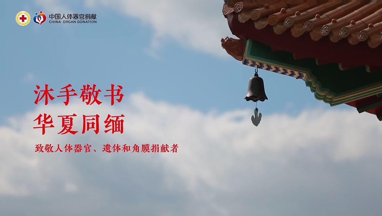 ...手敬书华夏同缅--致敬人体器官、遗体和角膜捐献者!#信阳市红十字会...