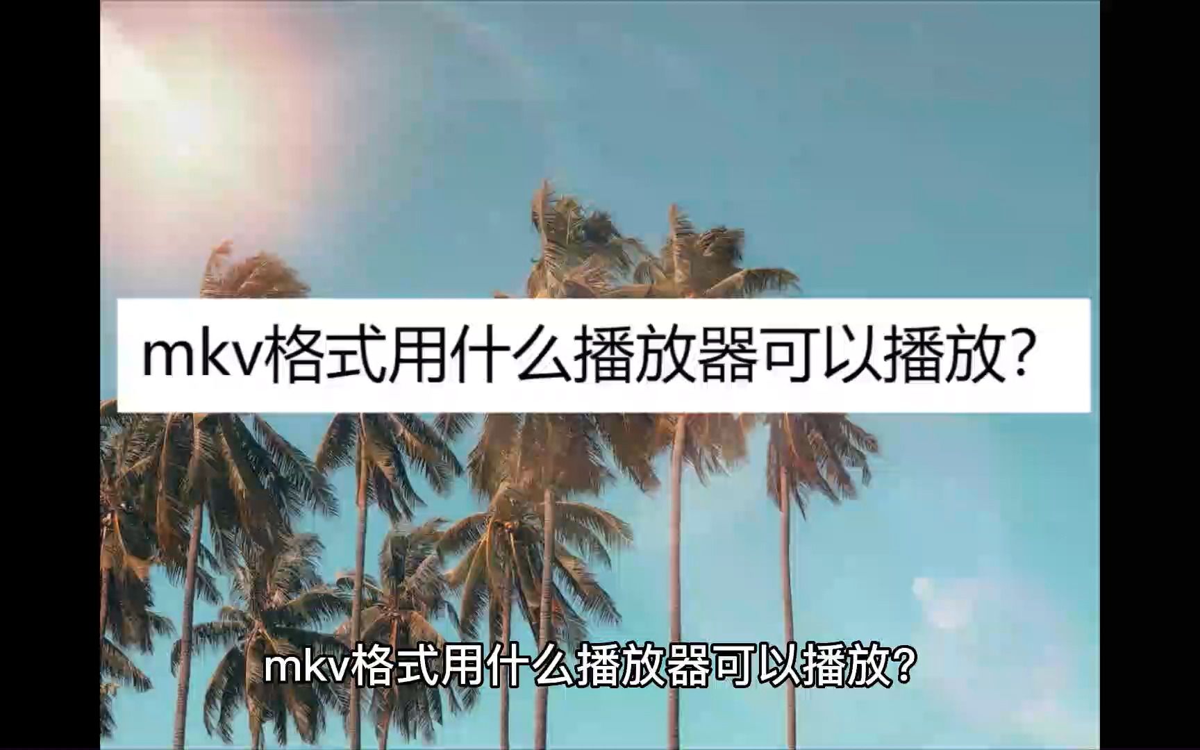 mkv格式用什么播放器可以播放