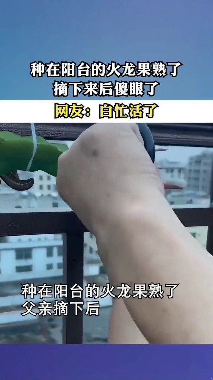 PC迎来史无前例大变化!传统电脑淘汰倒计时:AI PC占比已达14%#AI #...