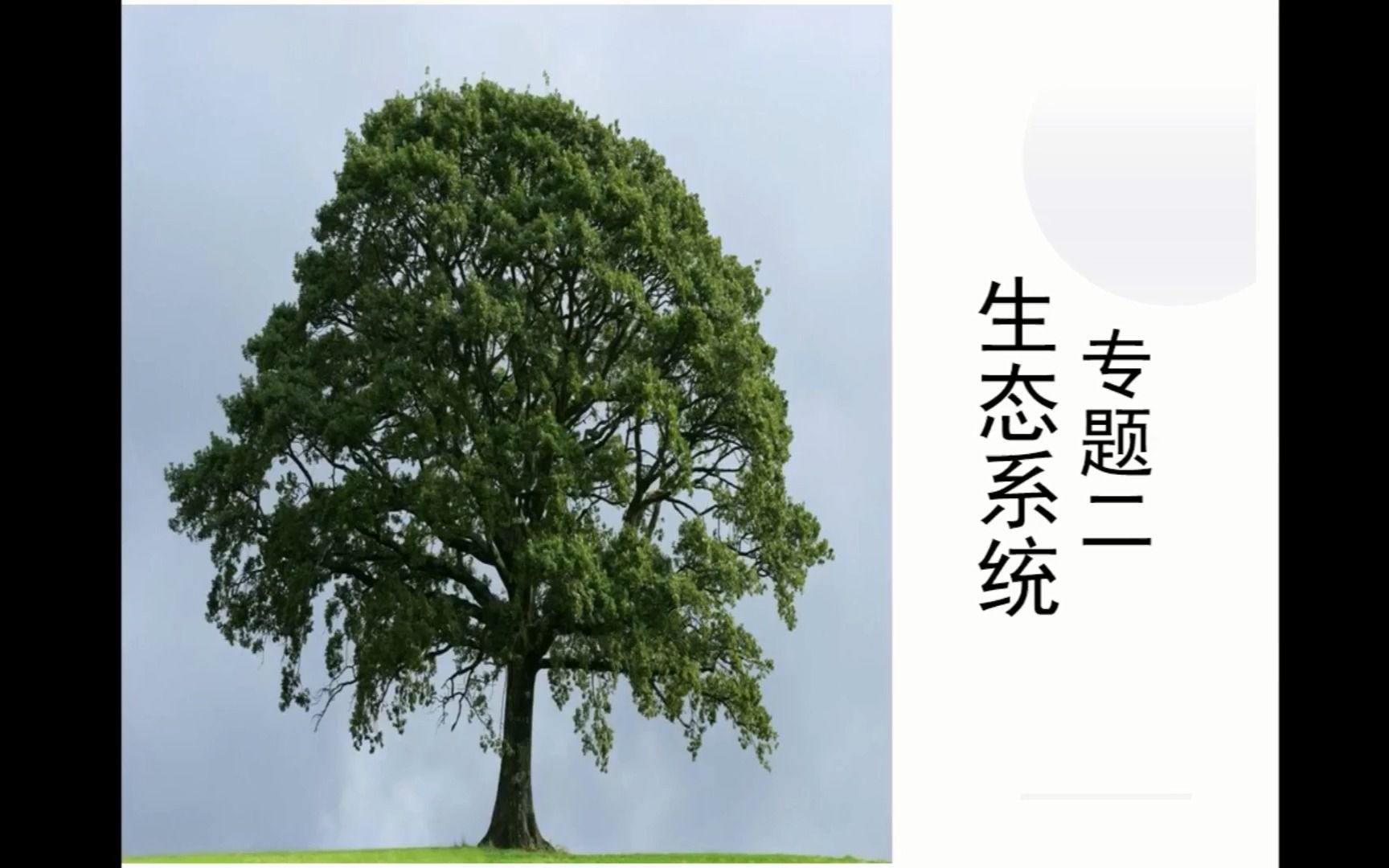中考复习 初中生物 《专题二 生态系统》