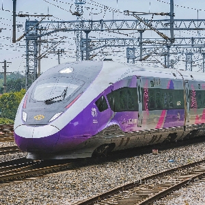 大洋织围勃 
