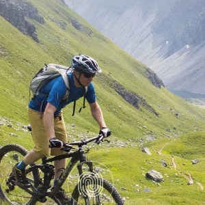 骑着毛毛去旅行 