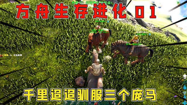 方舟生存进化01:暗墨带俩傻憨憨驯服庞马,多米一路.