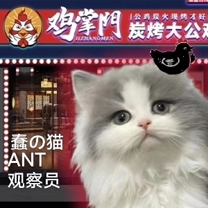 蚂蚁猫猫观察员 