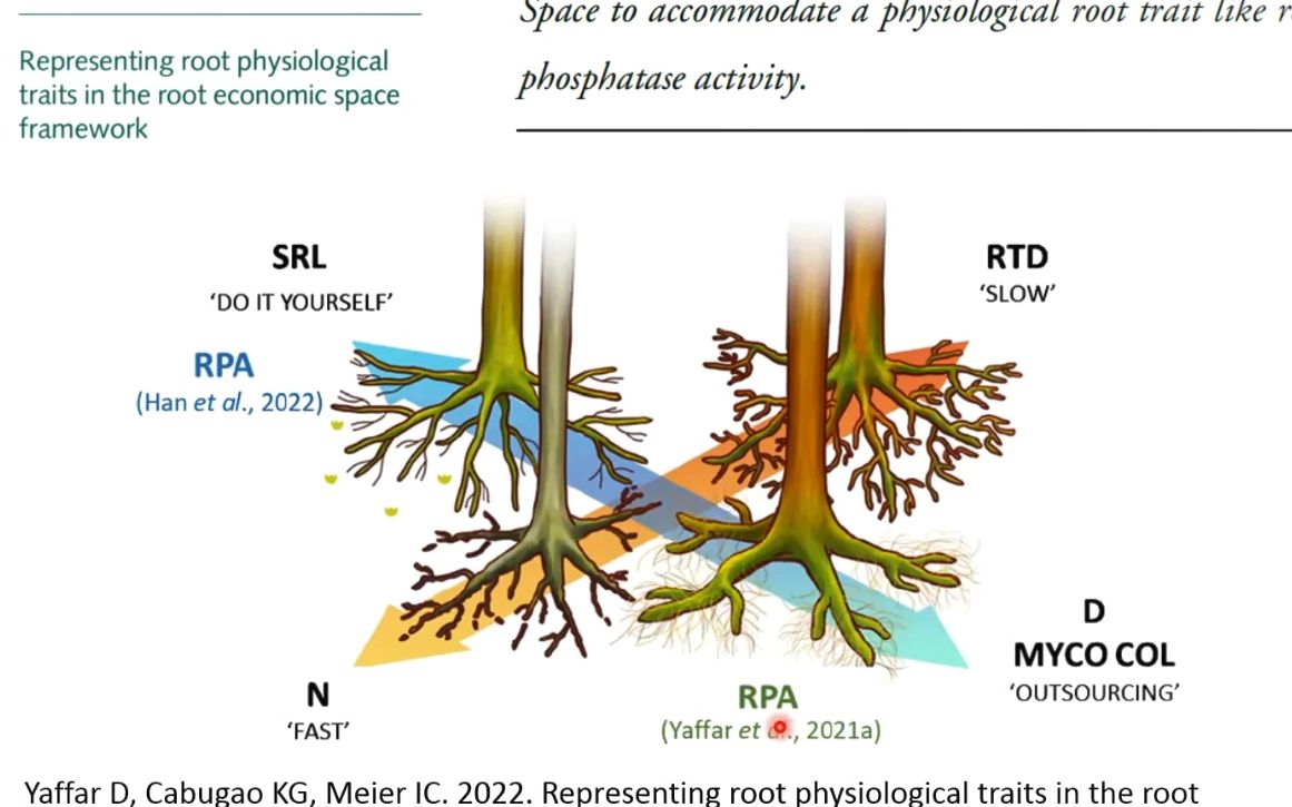 大牛讲座 | 全球变化下的根际生态与土壤碳过程-(朱彪-20220516)