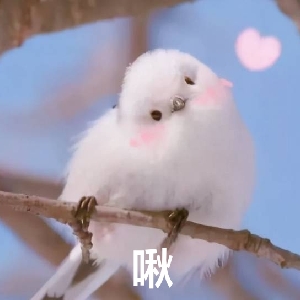 9折水瓶还玩AD 