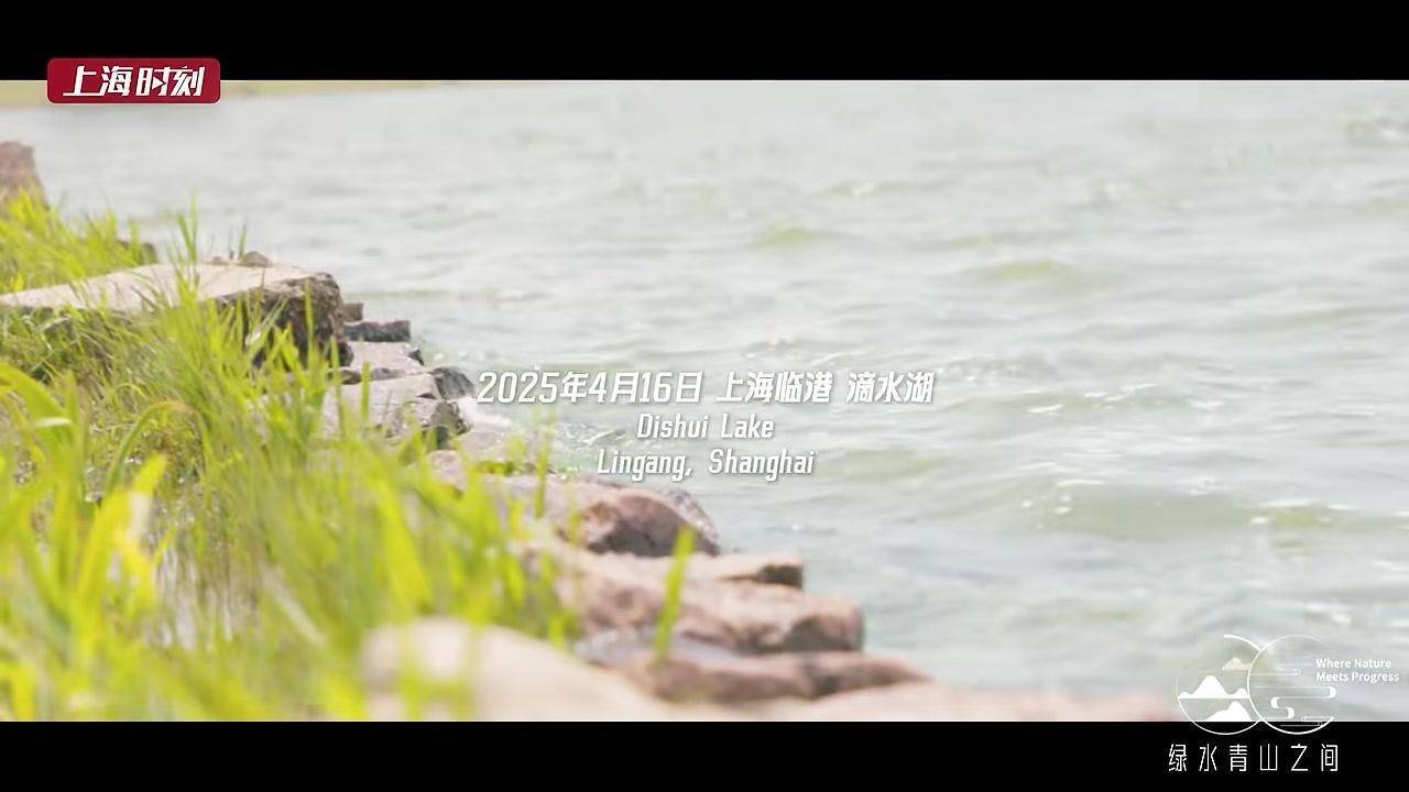 ...美国工程院院士、国际著名环境工程专家布鲁斯·爱德华·里特曼...