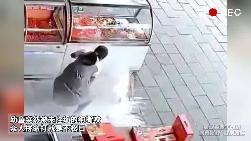 幼童突然被未拴绳的狗撕咬众人合力将狗打si,希望狗主人有担当