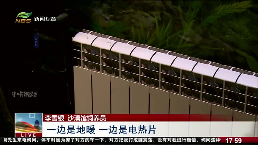 气温骤降!记者带你实地探访小动物们如何过冬