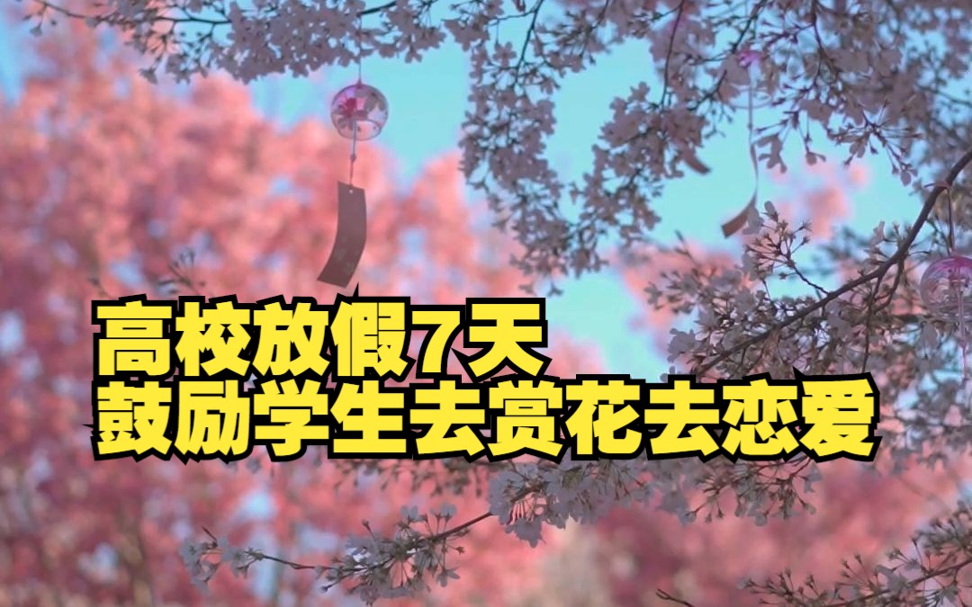 四川一学校放7天春假,鼓励学生去赏花去恋爱:是学校的传统 不会影响...