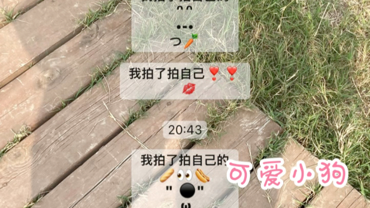 微信拍一拍新功能,可爱小狗、新年必备、动态烟花,喜欢的滴滴