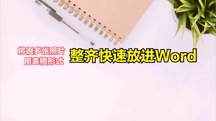 如何将多张照片通过表格整齐快速排列好?名字还要对应显示?