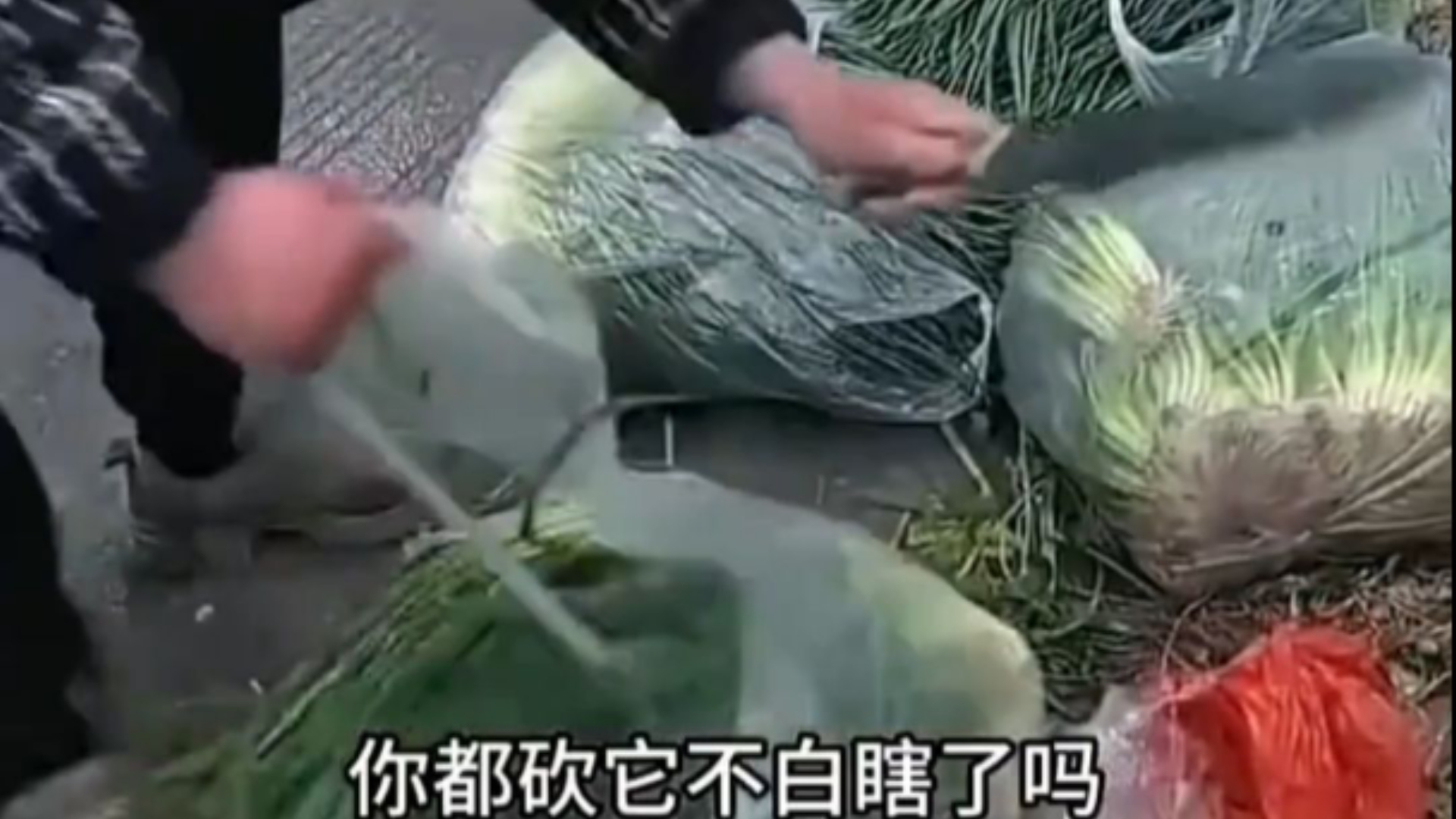 菜贩子见葱卖不出好价格,直接用刀全部原地销毁?